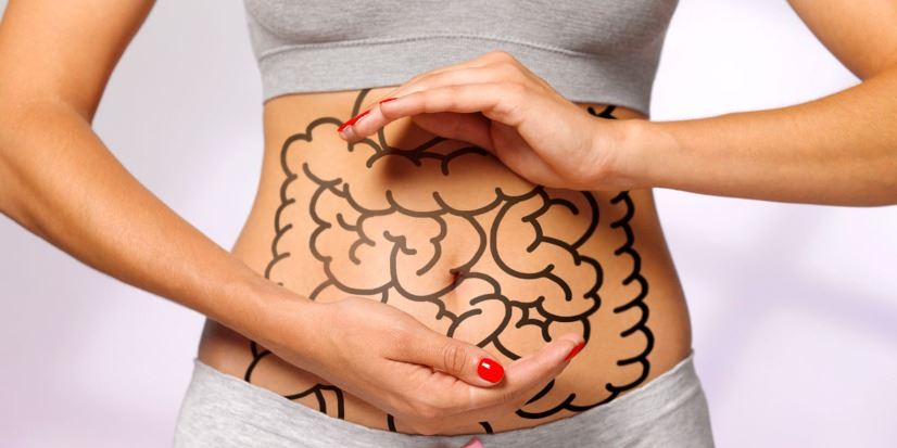 It takes guts: The importance of gut health