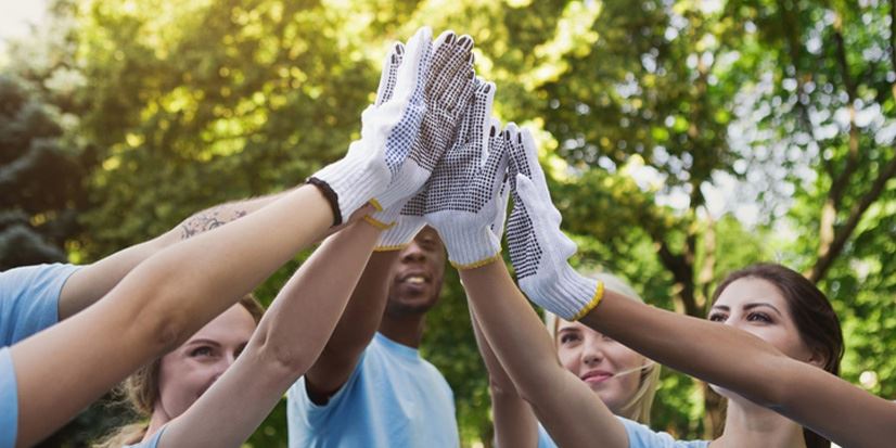 Increase in ER visits is good reminder about chainsaw, clean-up safety