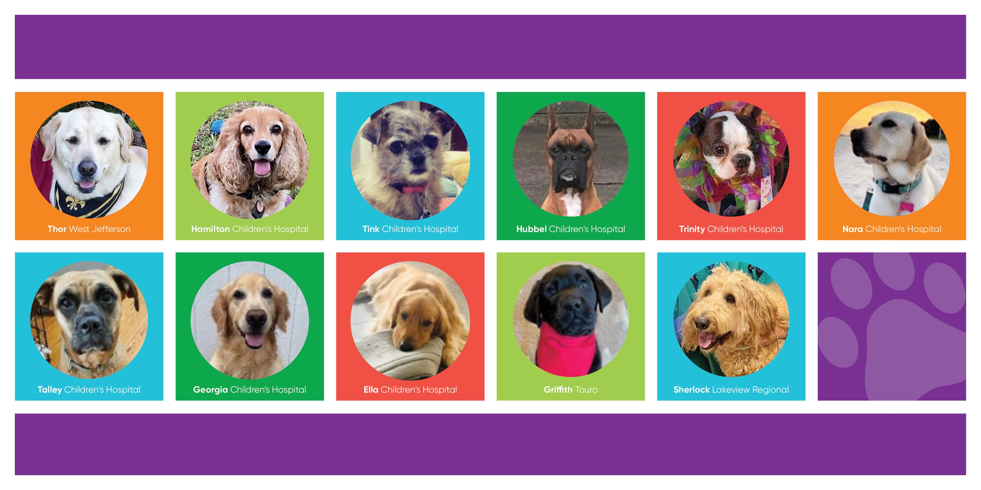 Meet the pups of LCMC Health